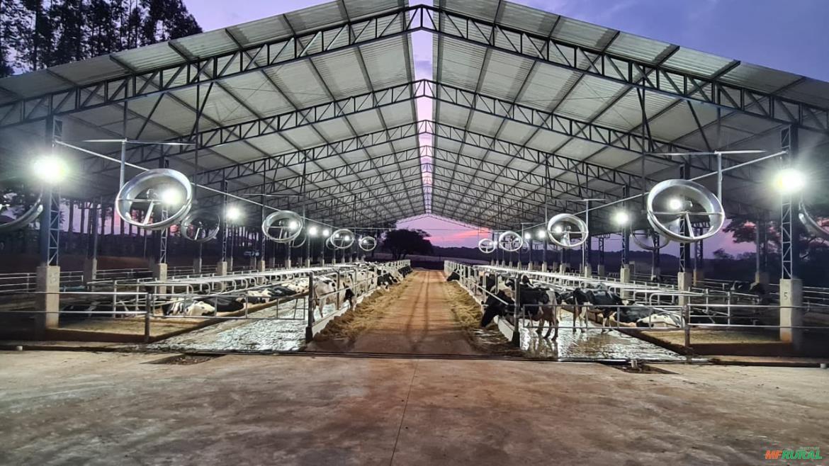 Compost Barn,Free Stall,Barracoes em Pré Moldados E Estruturas 320824