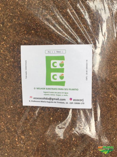 Alface Tomate em Rio de Janeiro RJ | Preço Venda Compra