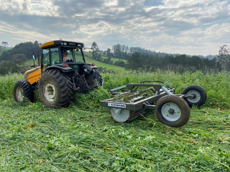 Rolo Faca 3 Metro | Preço Venda Compra - MF Rural