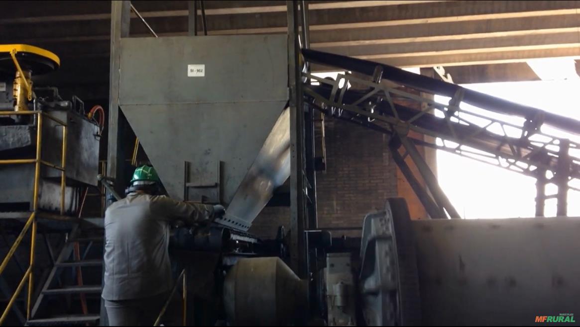 Planta Merthiolate - Máquinas/ Equipamentos | Preço Venda Compra