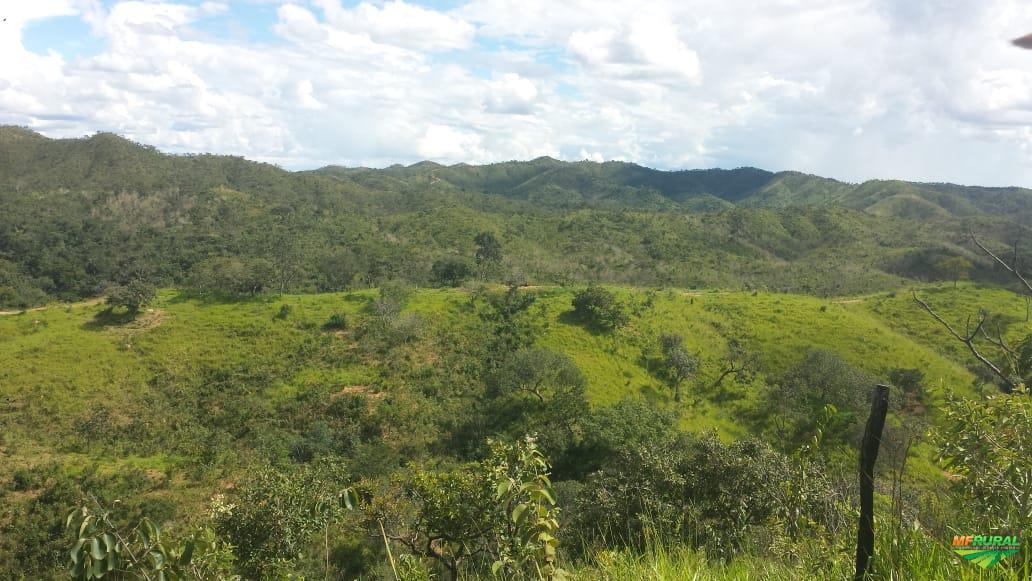 Fazenda em Planaltina de Goiás em Planaltina de Goiás GO à 330265