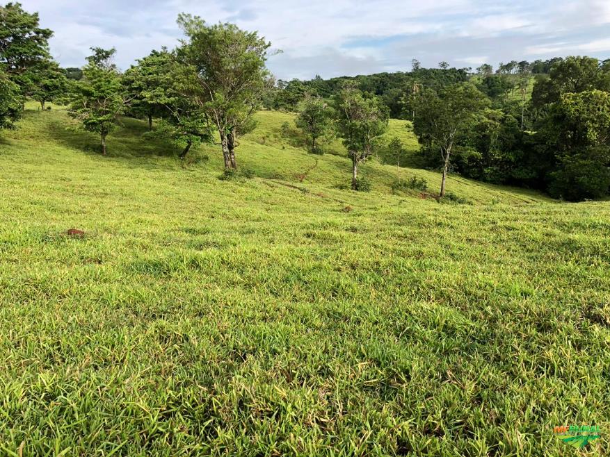 Fazenda em Goiás em Goiandira GO à venda. Compre direto 335187