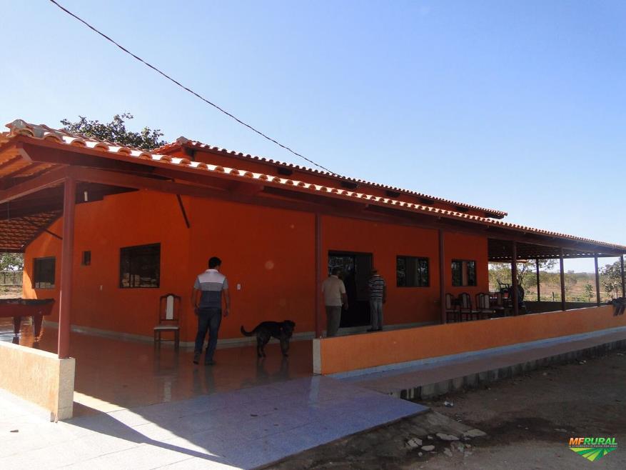 Fazenda no Goias (Fazenda em Goias) em Mambaí GO à venda. Compre 335273