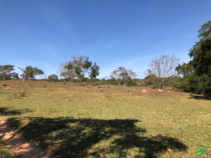 Fazenda no Goias em Ipameri GO à venda. Compre direto do vendedor 335299