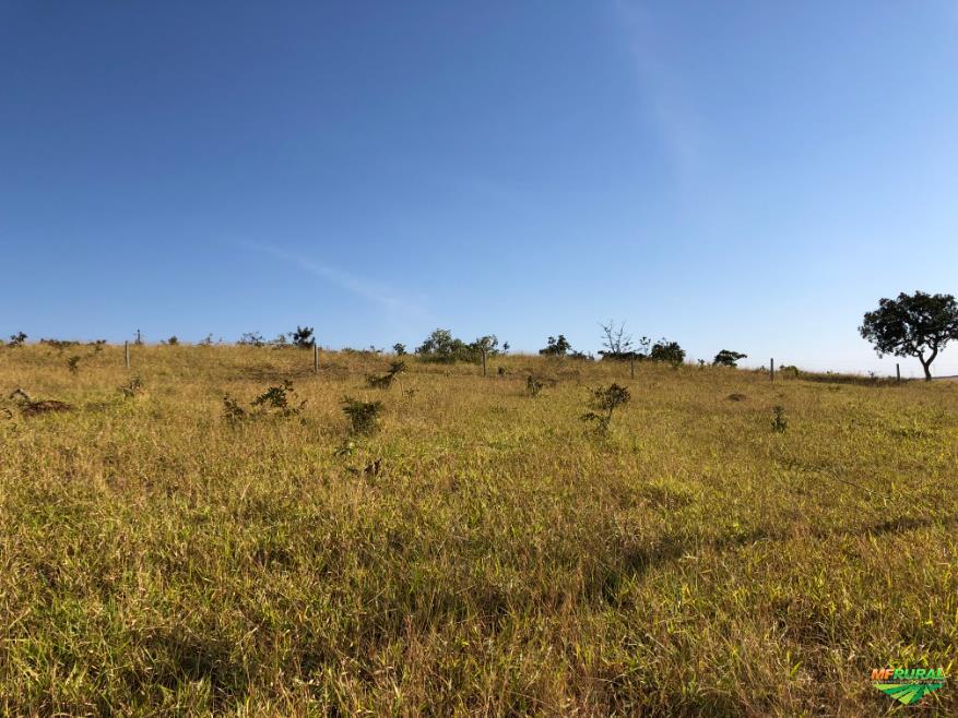 Fazenda no Goias em Ipameri GO à venda. Compre direto do vendedor 335304