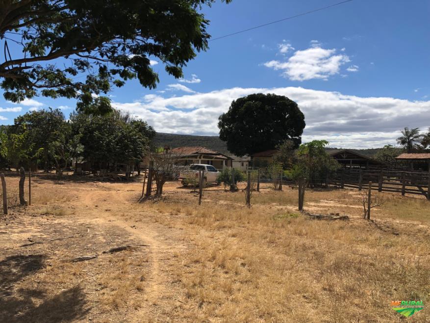 FAZENDA EM GOIAS (FORMOSA-GO) em Formosa GO Vender Comprar FAZEN