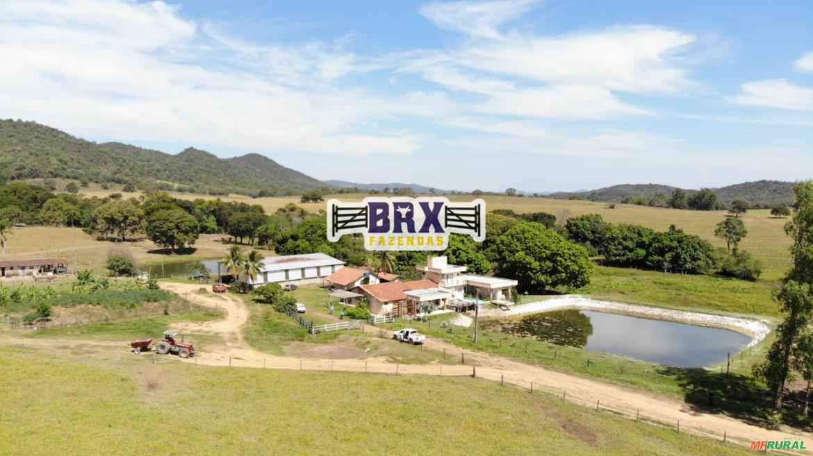 Fazenda Soja A Venda em Goiás | Preço Venda Compra - MF Rural