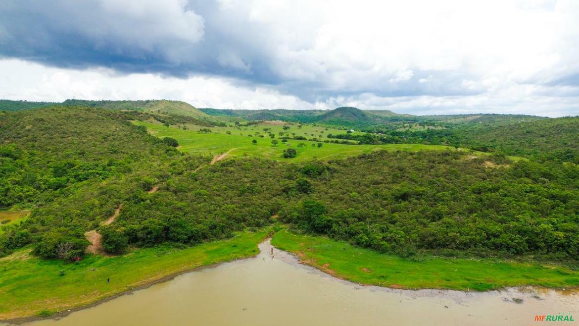 Fazendas em Goiás à venda com preço