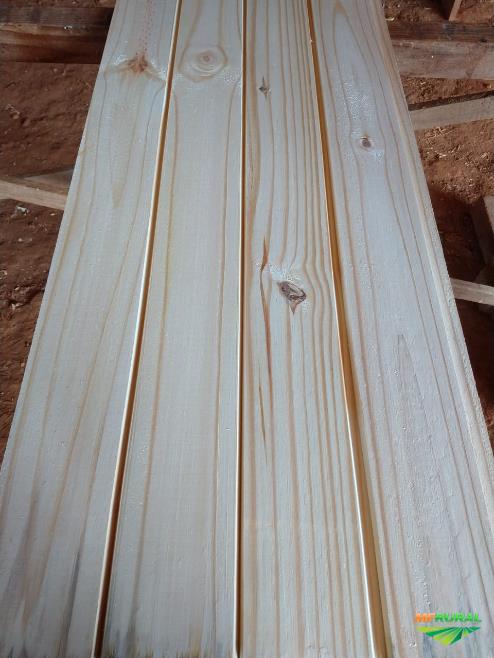 Forro Pinus em Turvo PR à venda. Compre direto do vendedor 343846