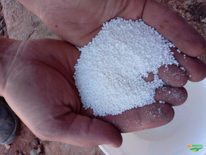 Adubo Salitre | Preço Venda Compra - MF Rural
