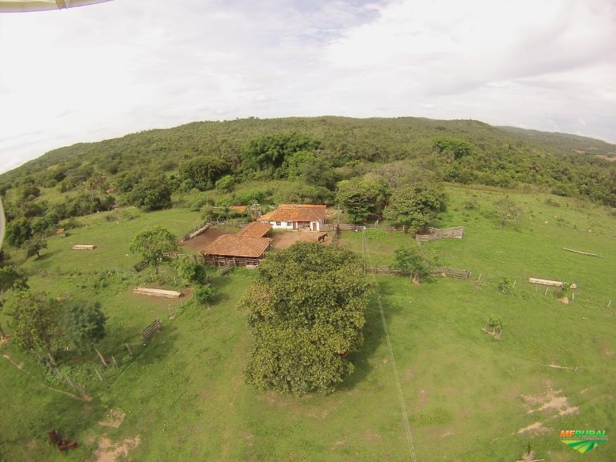 Fazenda no Goiás em Ipameri GO à venda. Compre direto do vendedor 337656