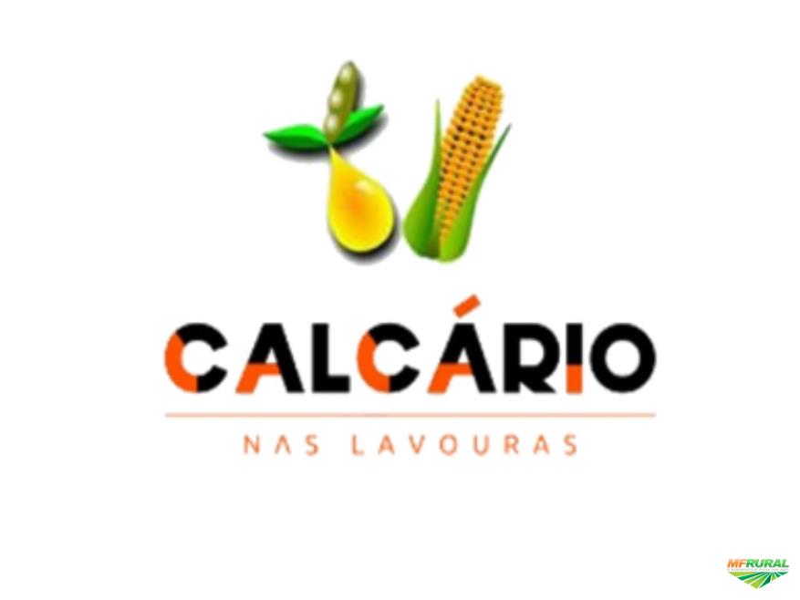 Inferencias Semanticas en Los Textos A Nivel Local Y - MF Rural