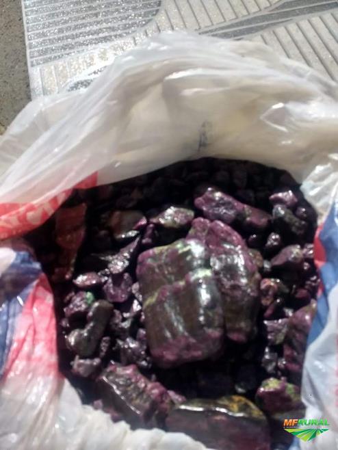 Brutas Rubi | Preço Venda Compra - MF Rural