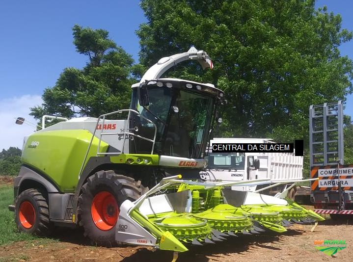 Colheitadeira Ensiladeira Claas | Preço Venda Compra - MF Rural