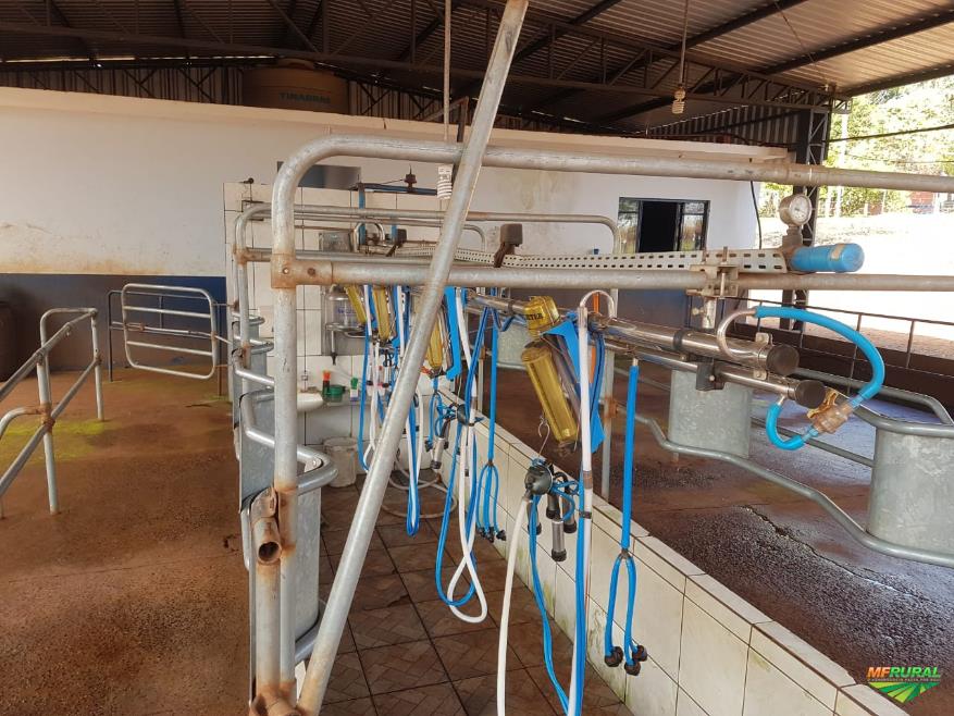 Ordenhadeira Canalizada 4 Conjuntos em Pederneiras SP à venda. 342730