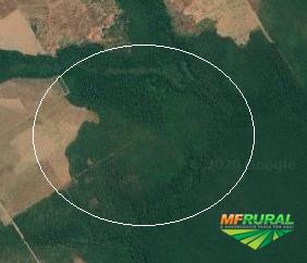 Fazenda 500 Hectares A Venda Mt em São José do Rio Claro MT à 352096