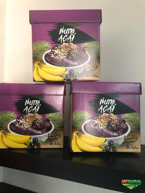 Mix de Açaí - Delicioso E Saudável! em Fortaleza CE à venda. 344655