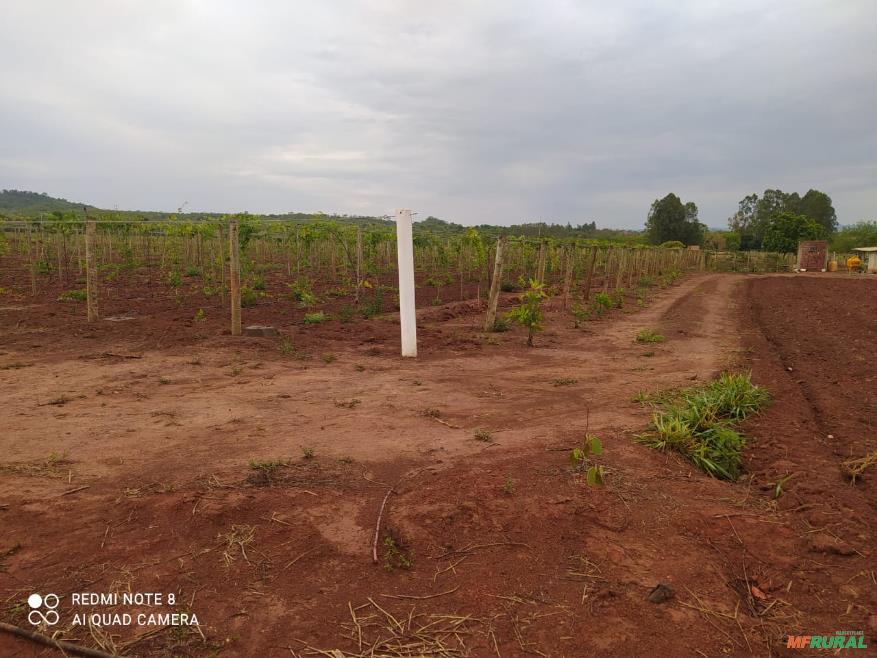 Vendo 02 Sitios de 5.2 Hectares Cada em Padre Bernardo GO à 437901