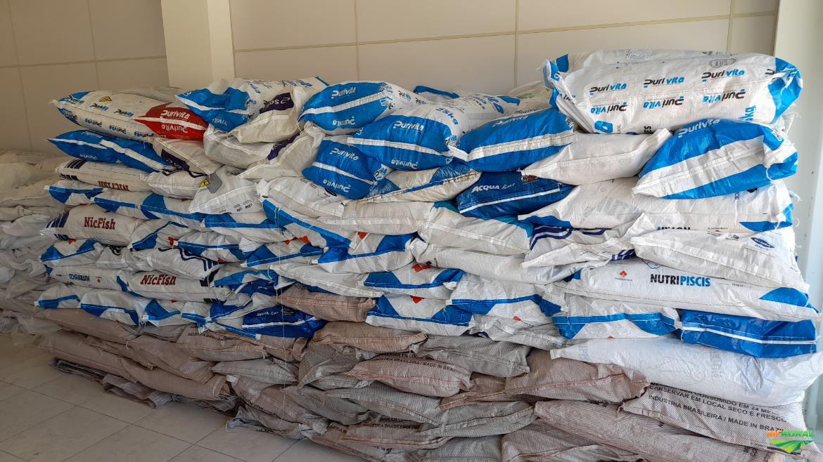 Saco de Ráfia em São Ludgero SC à venda. Compre direto 389317