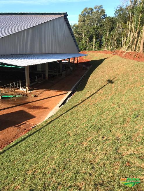 COMPOST BARN. COMPOSTO, FREESTALL, FRISTAL E EQUIPAMENTOS AGROPE