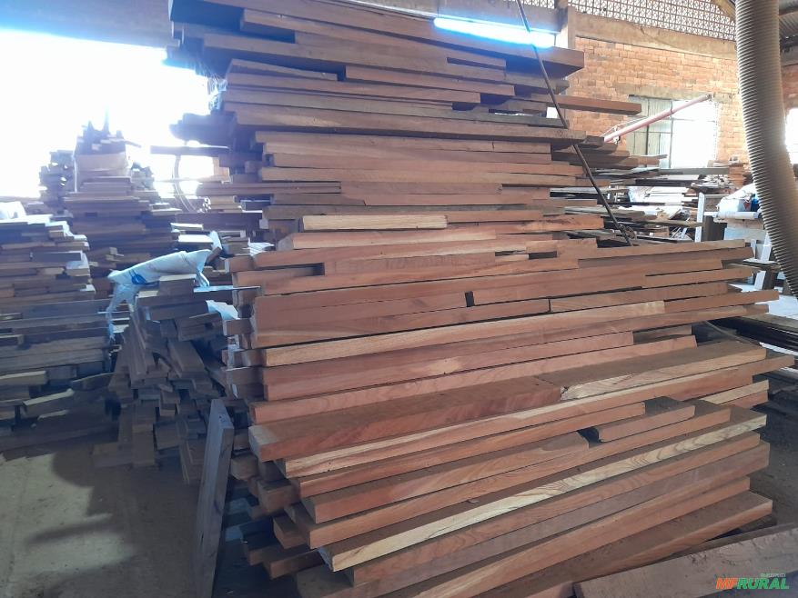 Cedro Venda de Cedro Preço Cedro Comprar Cedro Vender Cedro Onde