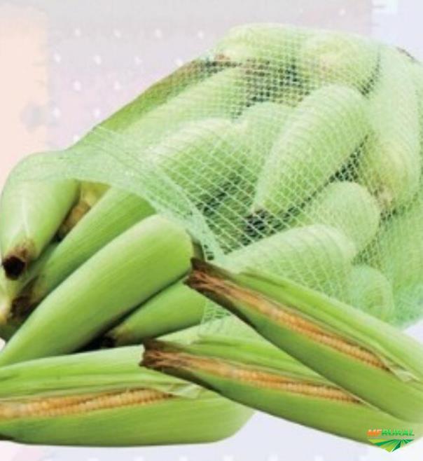 Sacos Embalagem Milho Verde | Preço Venda Compra - MF Rural