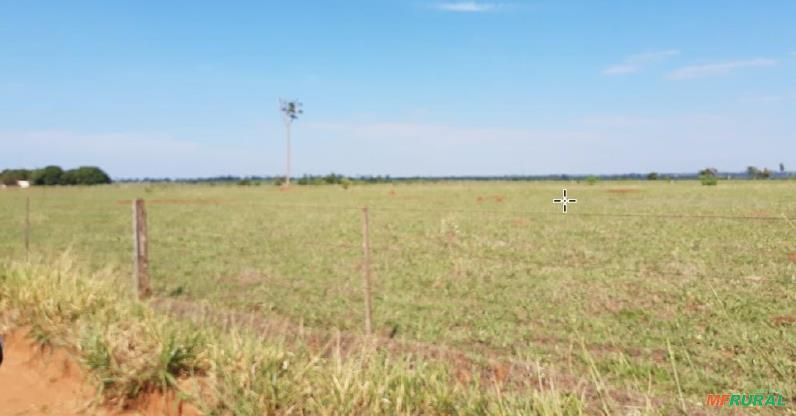 Vendo Excelente Fazenda Com 600 Hectares - Dupla Aptida na 705215