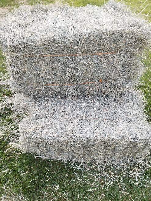 Feno Fardos Tifton - Alimentos para Nutrição Animal | Preço