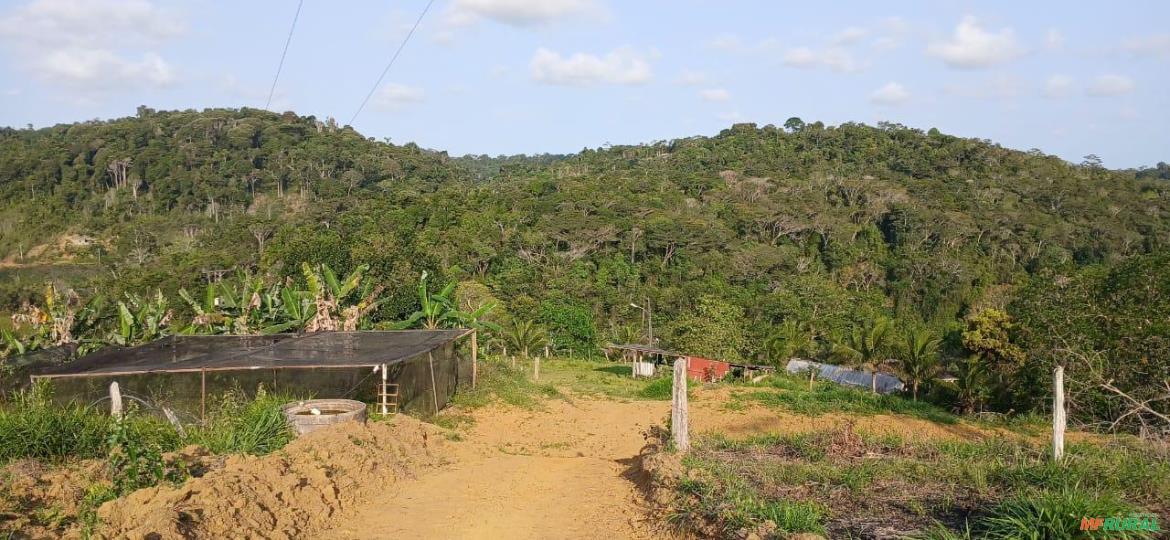 Fazenda de 18 Mil É 600 Hectares Dupla Aptidão no Sul da Bahia 859850