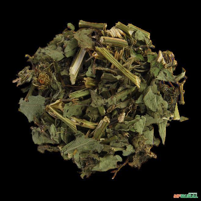 Picão à venda com preço