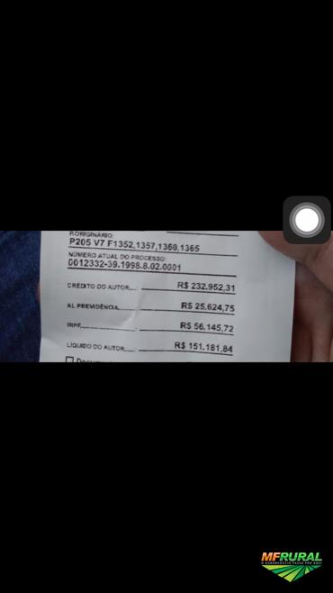 Where Did The Members of The Bani Yas Tribe First Settle The