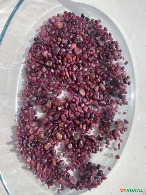 Rubi | Preço Venda Compra - MF Rural