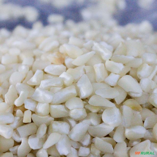 Compro Canjica de Milho Branco/Milho Branco Para Canjica em São 669025