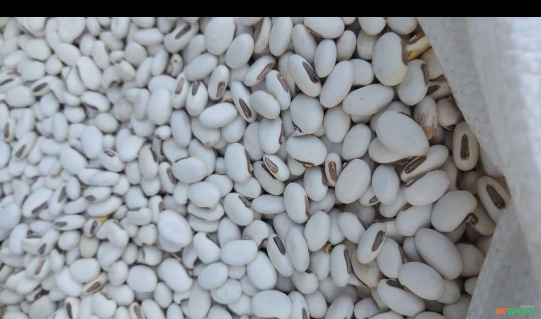 Sementes em Piedade do Rio Grande - MG à venda com preço