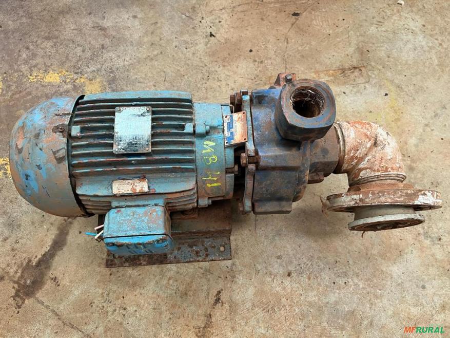 Conjunto Motor Bomba Ksb Megabloc 40-125R Vazão:30M³/H X 30Mca 674024