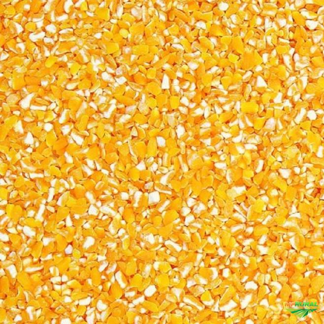 Saco de Milho em Japeri RJ à venda. Compre direto do vendedor 397629