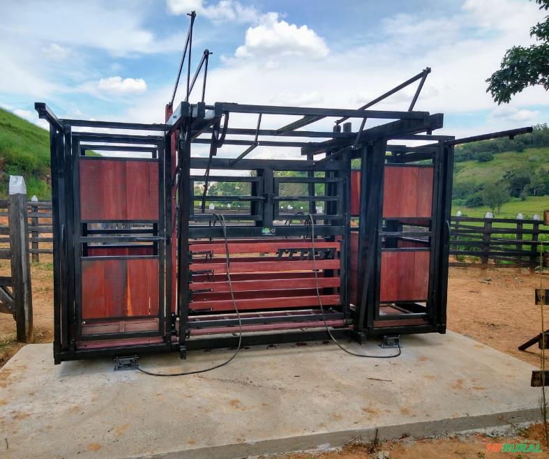 Tronco Bovino em Uberlândia MG à venda. Compre direto do vendedor 404776