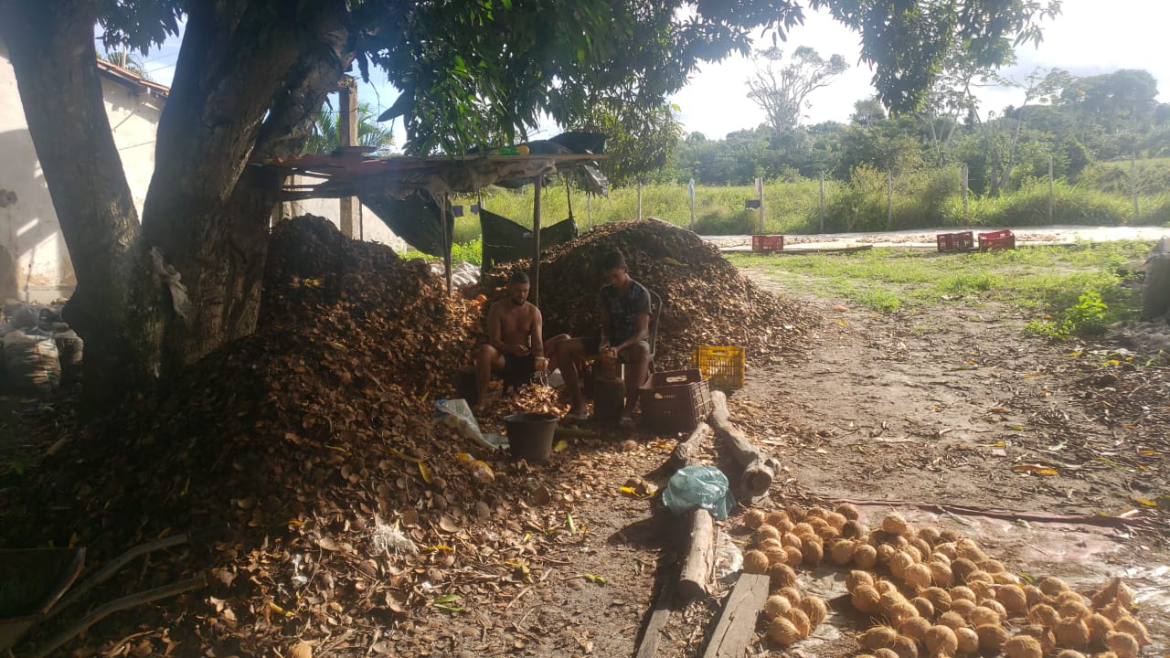Preco Carvao em Conde BA | Preço Venda Compra - MF Rural