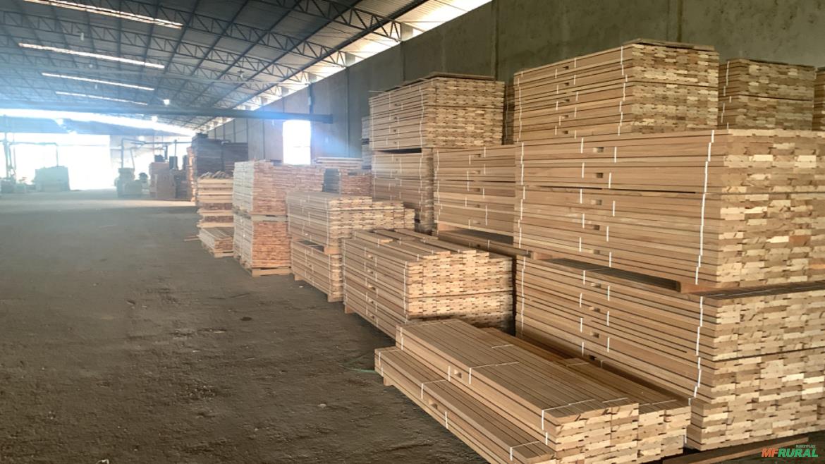 Asoalho de Madeira Maciça em Londrina PR à venda. Compre direto 723109