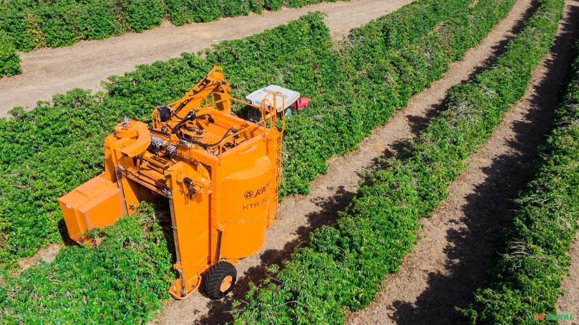 Colhedeira Ktr Jacto | Preço Venda Compra - MF Rural