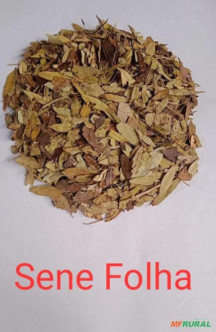 Sene à venda com preço
