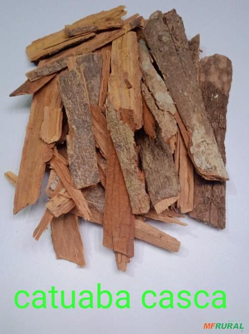 Catuaba à venda com preço