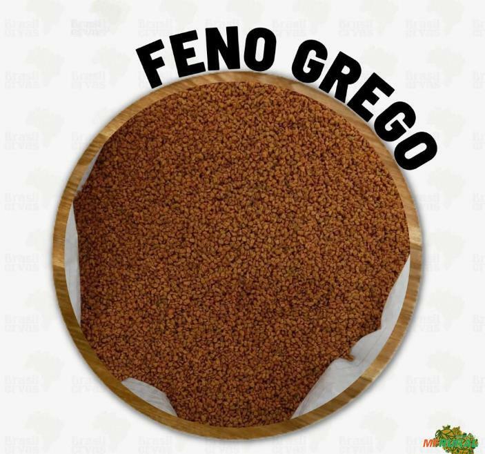 Feno Grego | Preço Venda Compra - MF Rural