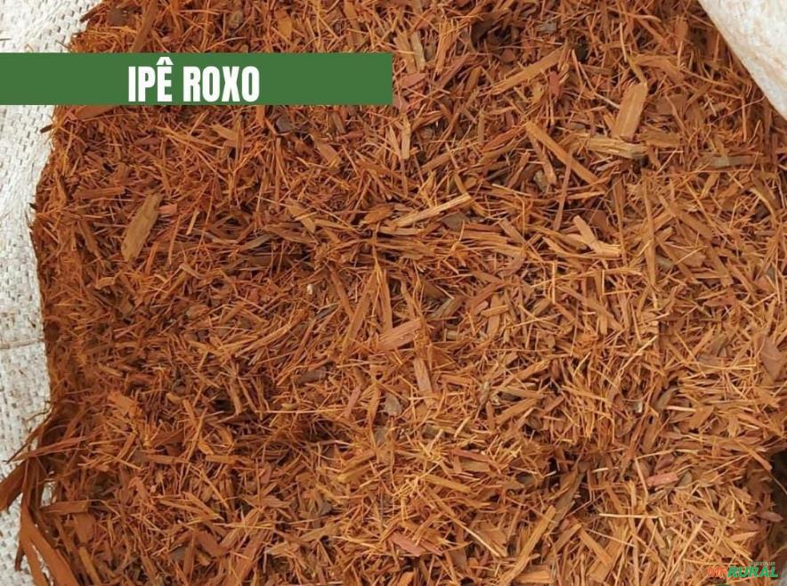 Ipê Roxo Rasurado em Contenda PR à venda. Compre direto 755380