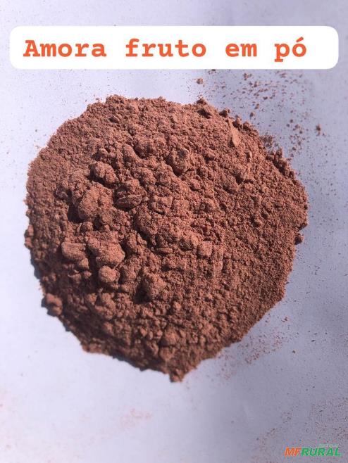Amora Fruto em Pó em São Paulo SP à venda. Compre direto 755388