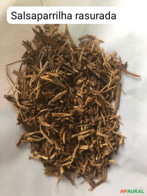 Salsaparrilha Rasurada em Contenda PR à venda. Compre direto 755886