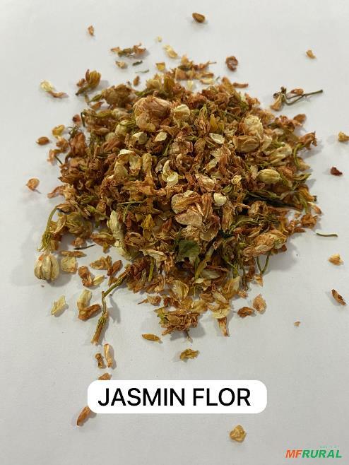 Jasmim à venda com preço