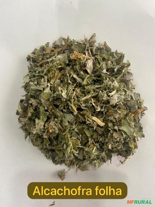 Alcachofra à venda com preço