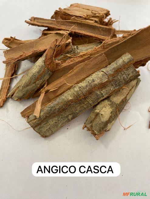 Angico | Preço Venda Compra - MF Rural