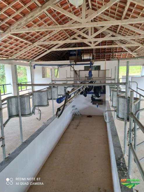 Ordenhadeira Automatizadas | Preço Venda Compra - MF Rural